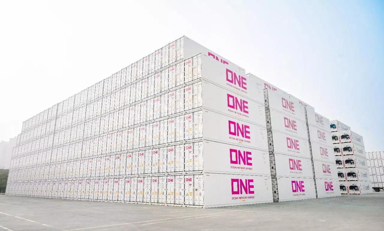 Reefer shipping remains resilient: Drewry